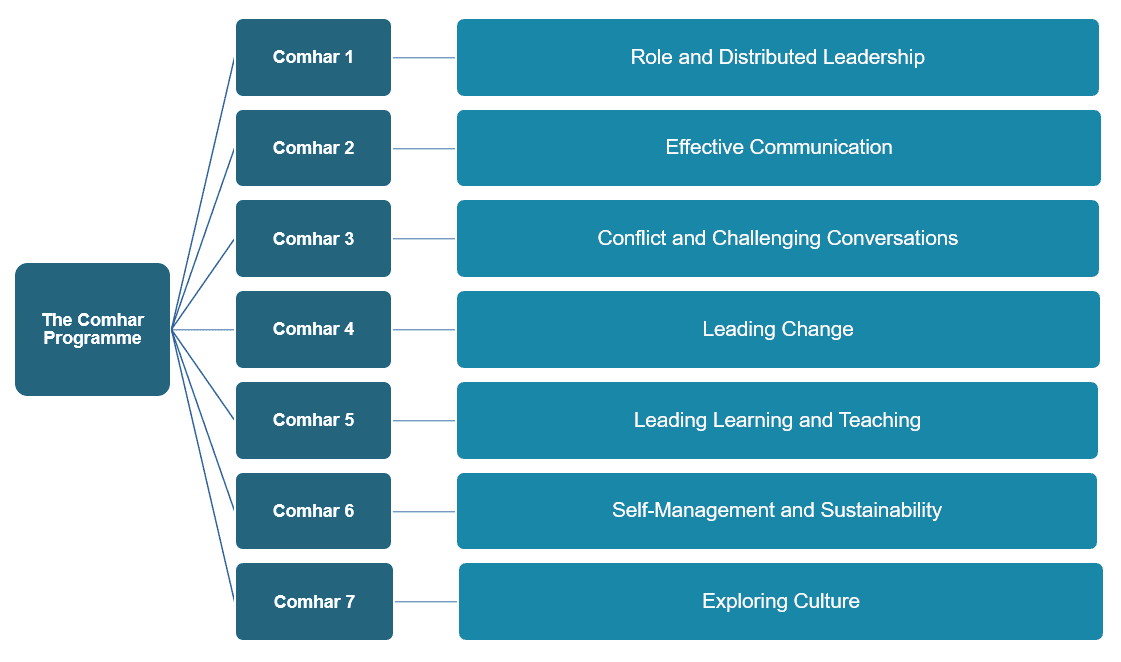 Professional Learning - Oide